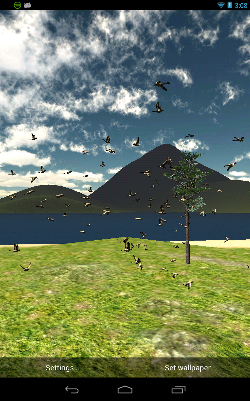 Bird Flight Live Wallpaper Free - App on Amazon Appstore