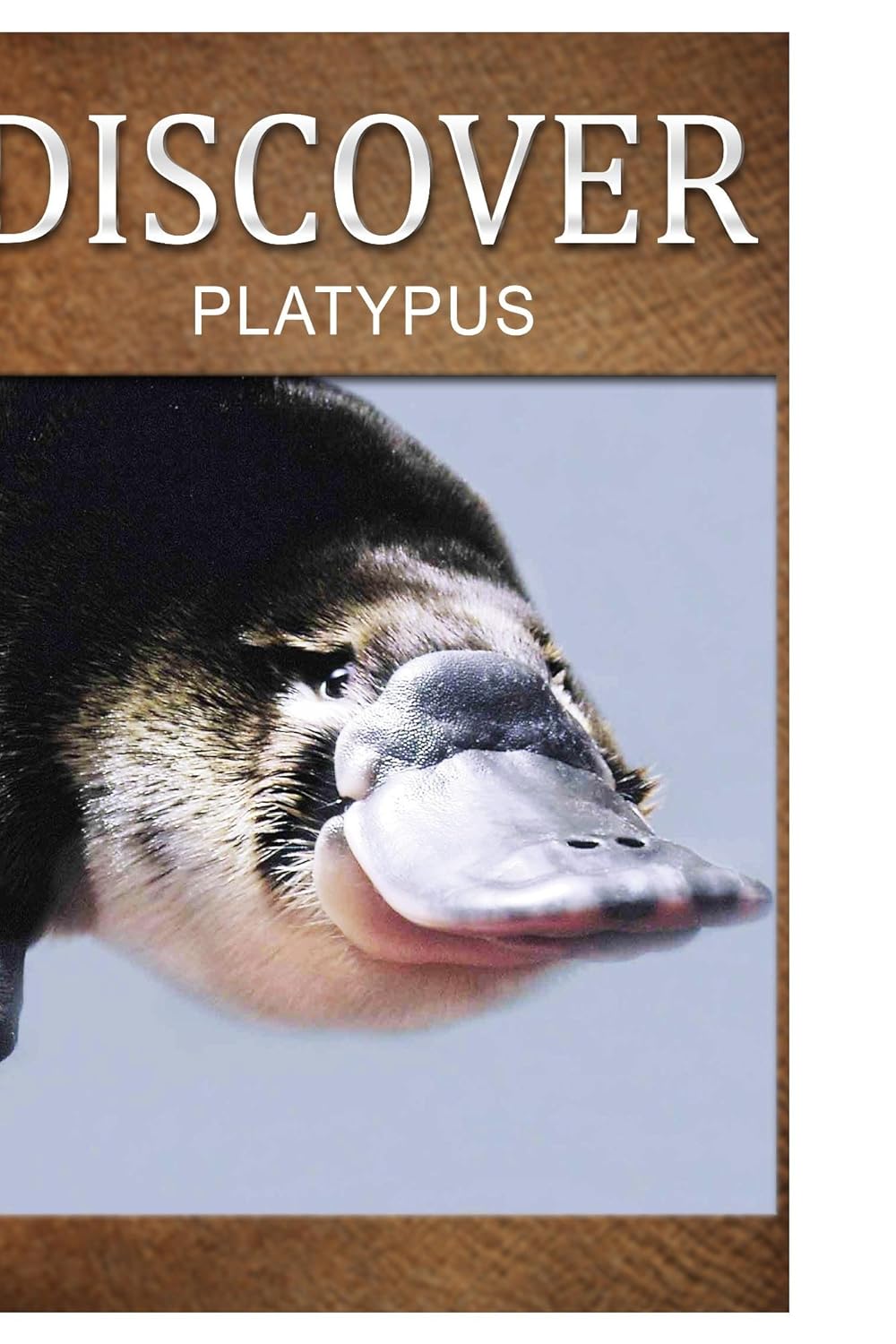 Amazon.com: Platypus - Discover: Early reader's wildlife photography ...