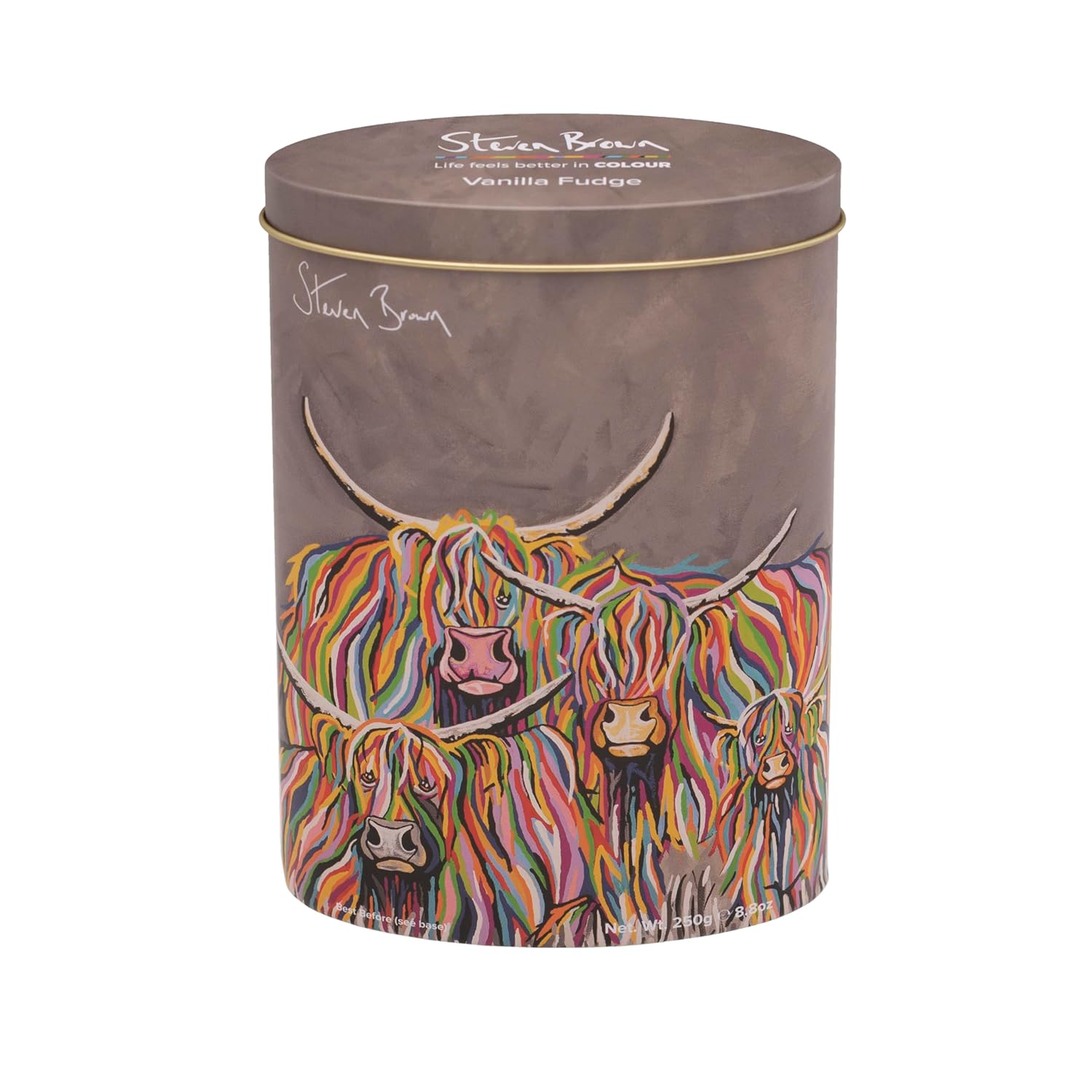 Amazon.com : Gardiners of Scotland Handmade Fudge 250g Tin, Steven ...