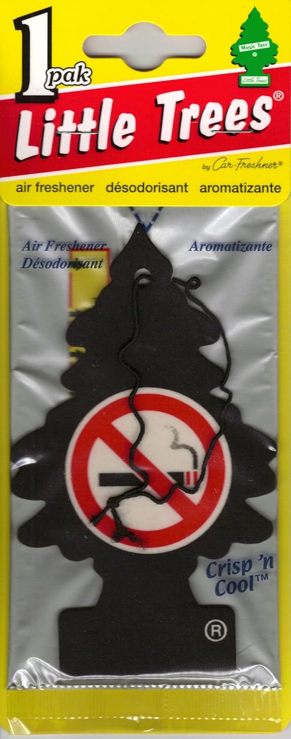 Amazon.com: Car Freshner U1P17037 Little Trees No Smoking Air freshener ...