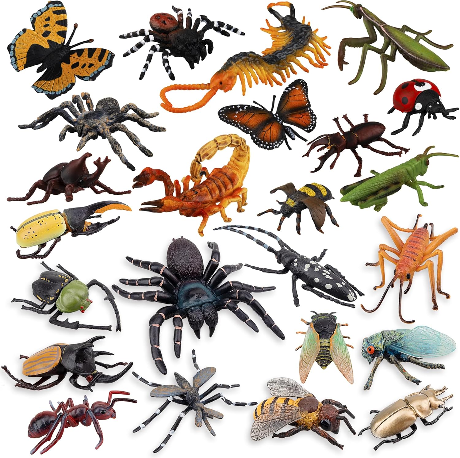 Amazon.com: Toymany 24PCS Realistic Insects Figures Toys - Plastic Bugs ...