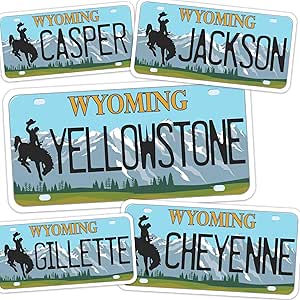 Amazon.com: Wyoming License Plate Stickers for Hydroflask Water Bottle ...