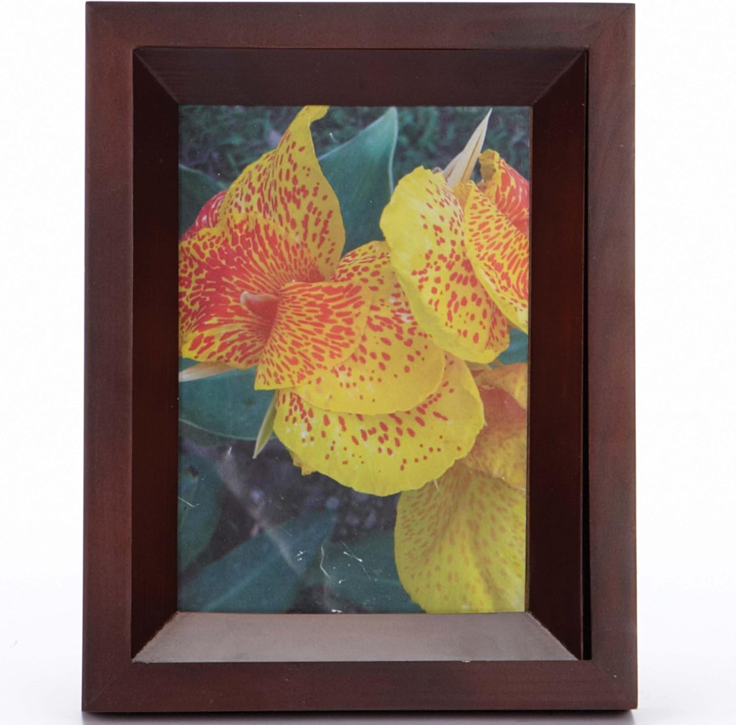 Amazon.com - nexxt Riley Deep Shadowbox Wood Picture Frame, 5 by 7-Inch ...