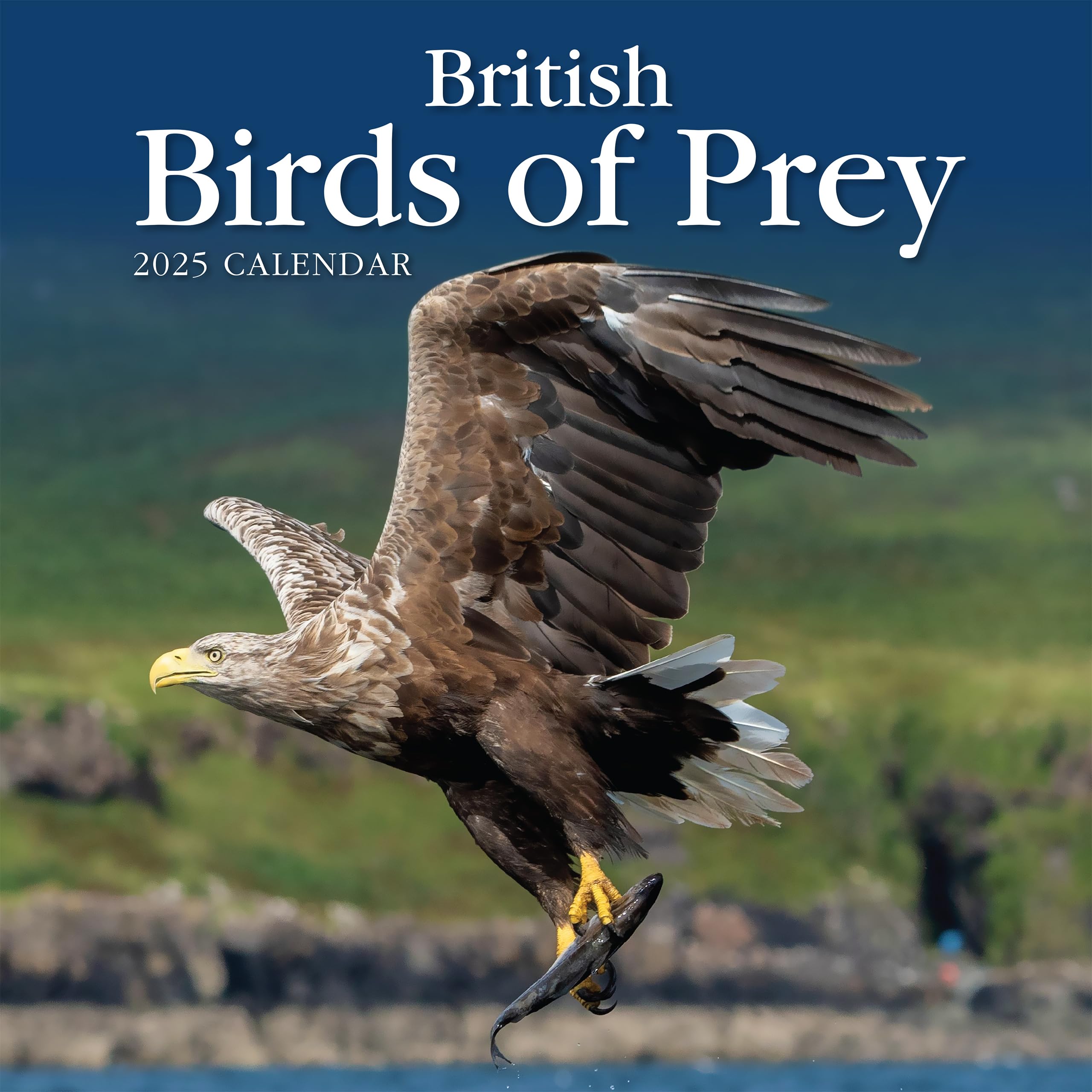 Birds Of Prey Calendar 2024