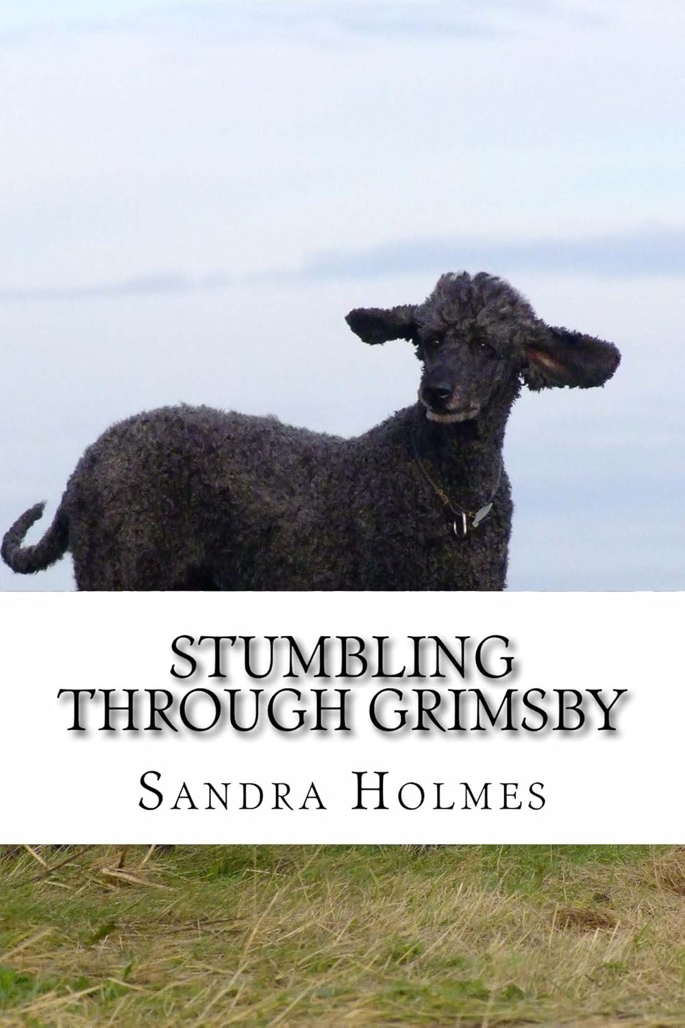 Amazon.com: Stumbling Through Grimsby (Stumbling Through Life Book 6 ...