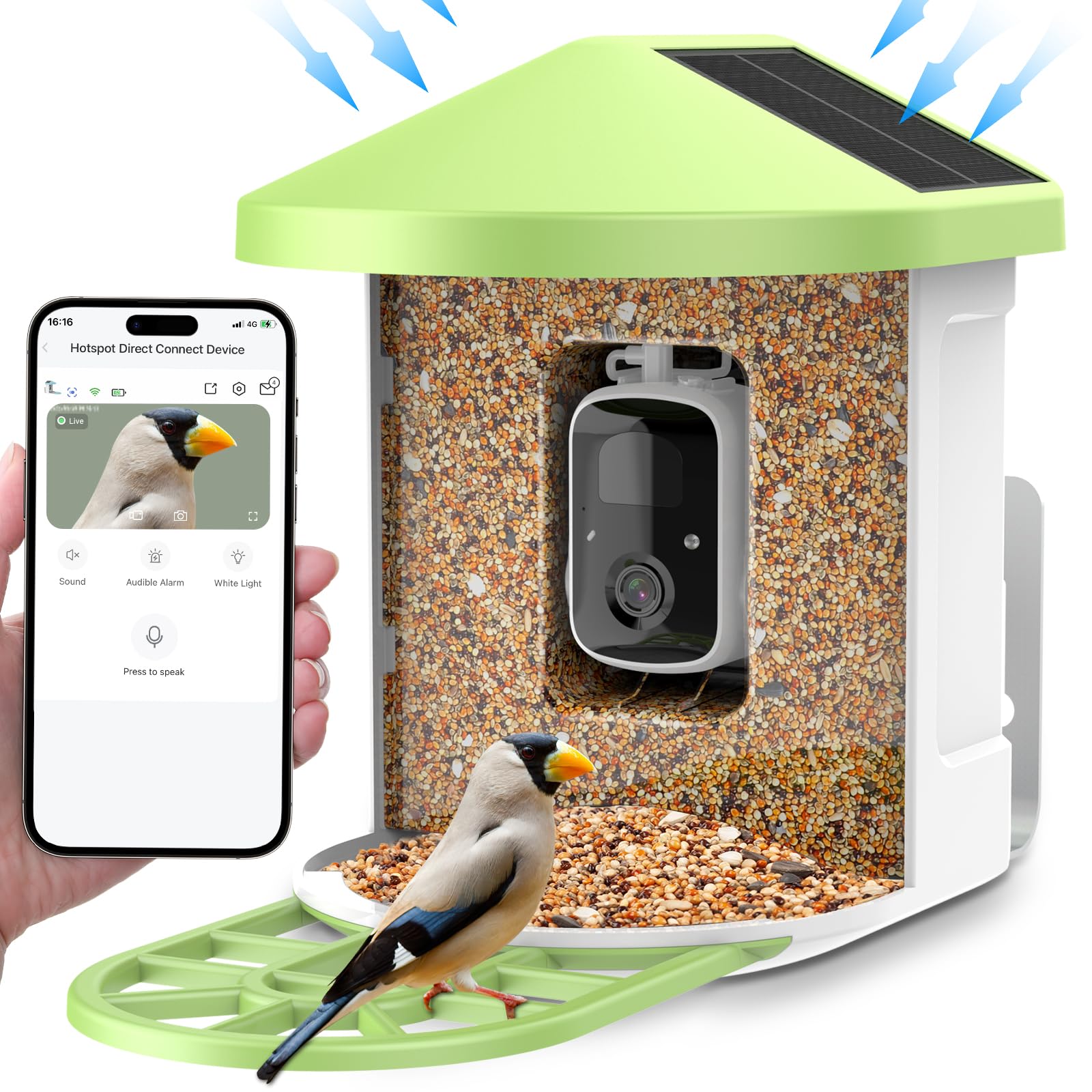 Amazon.com : Smart Bird Feeder with Camera, AI Identify Bird Species ...