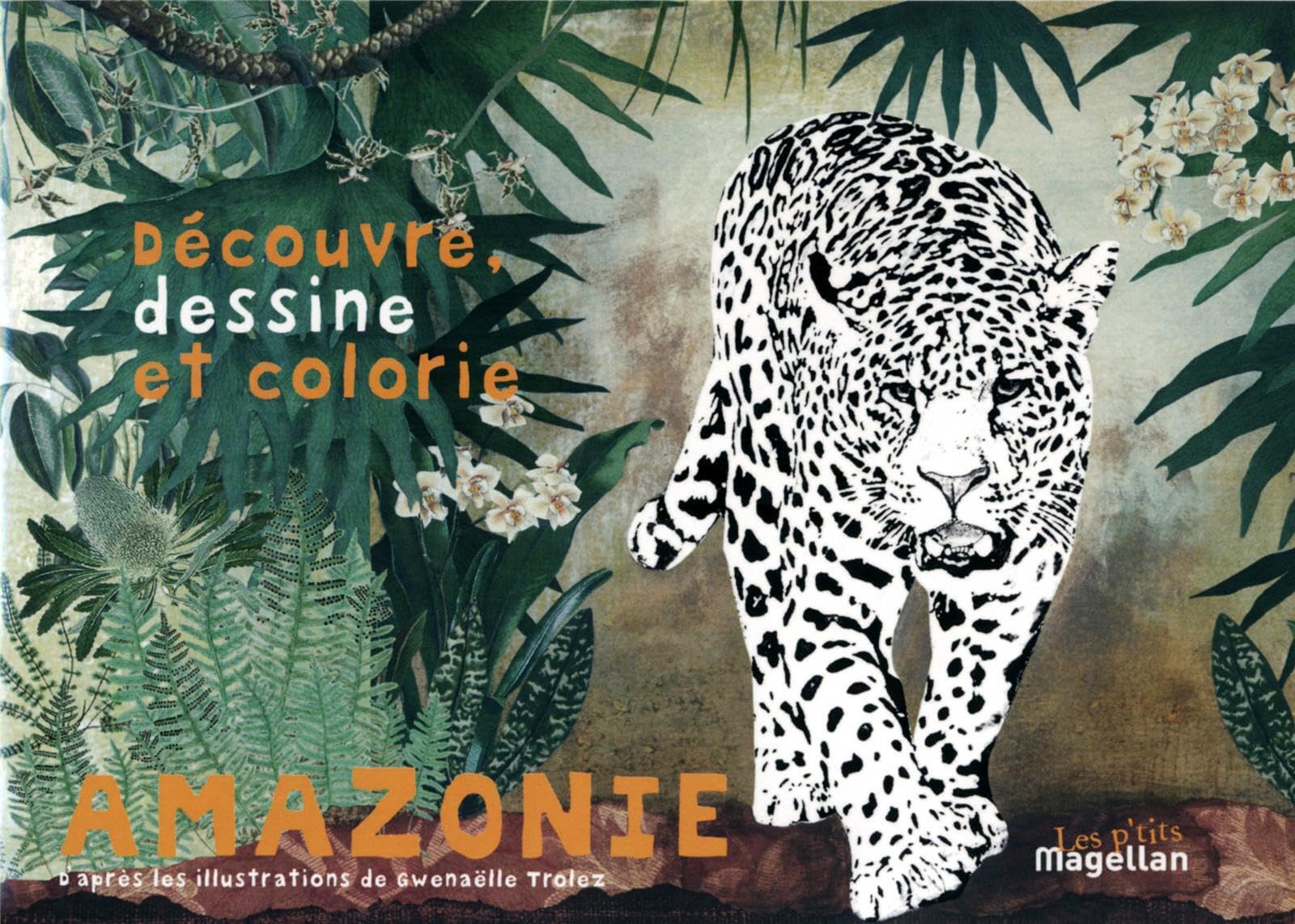Amazon.com: Amazonie - découvre, dessine et colorie les animaux de la ...