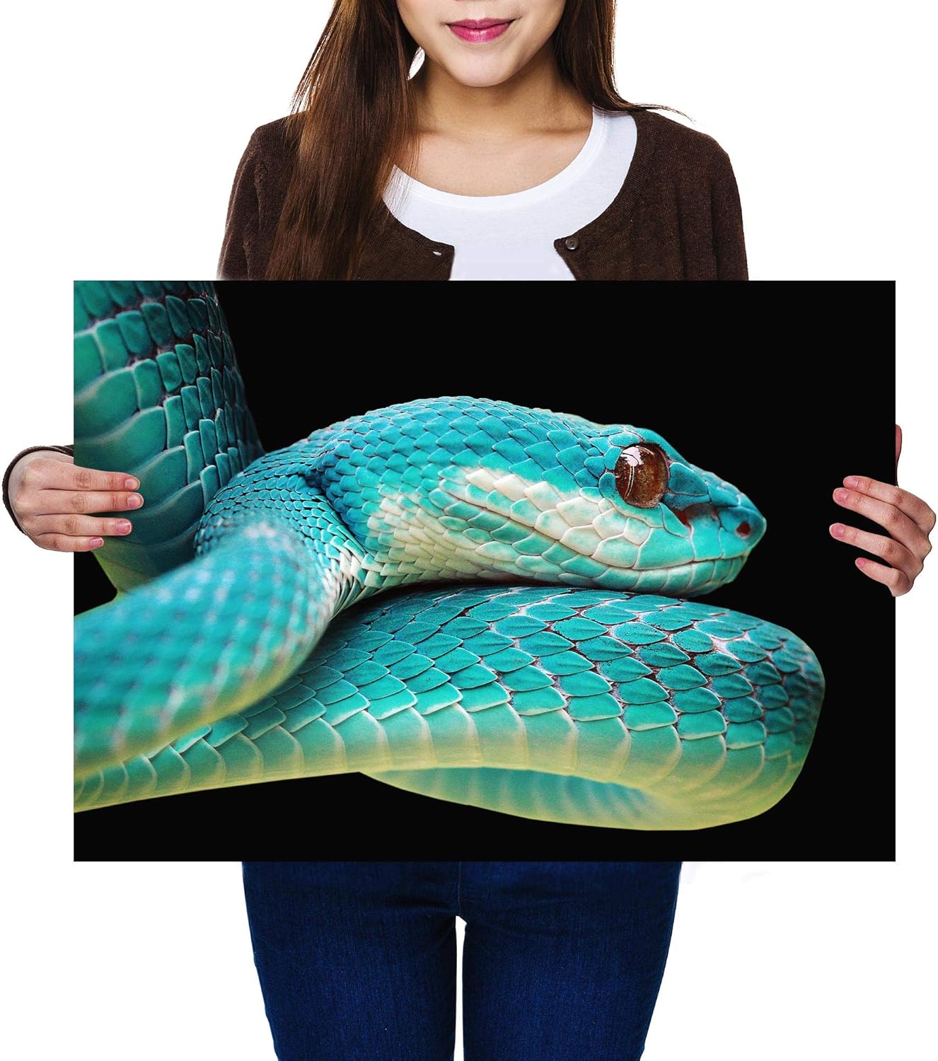 Póster de vinilo de destino A2 – color turquesa azul Viper Snake ...