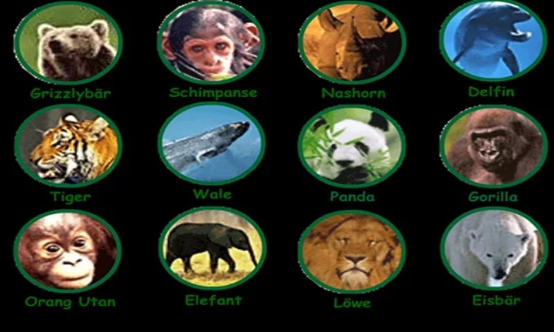 Soundboard Animals - App on Amazon Appstore