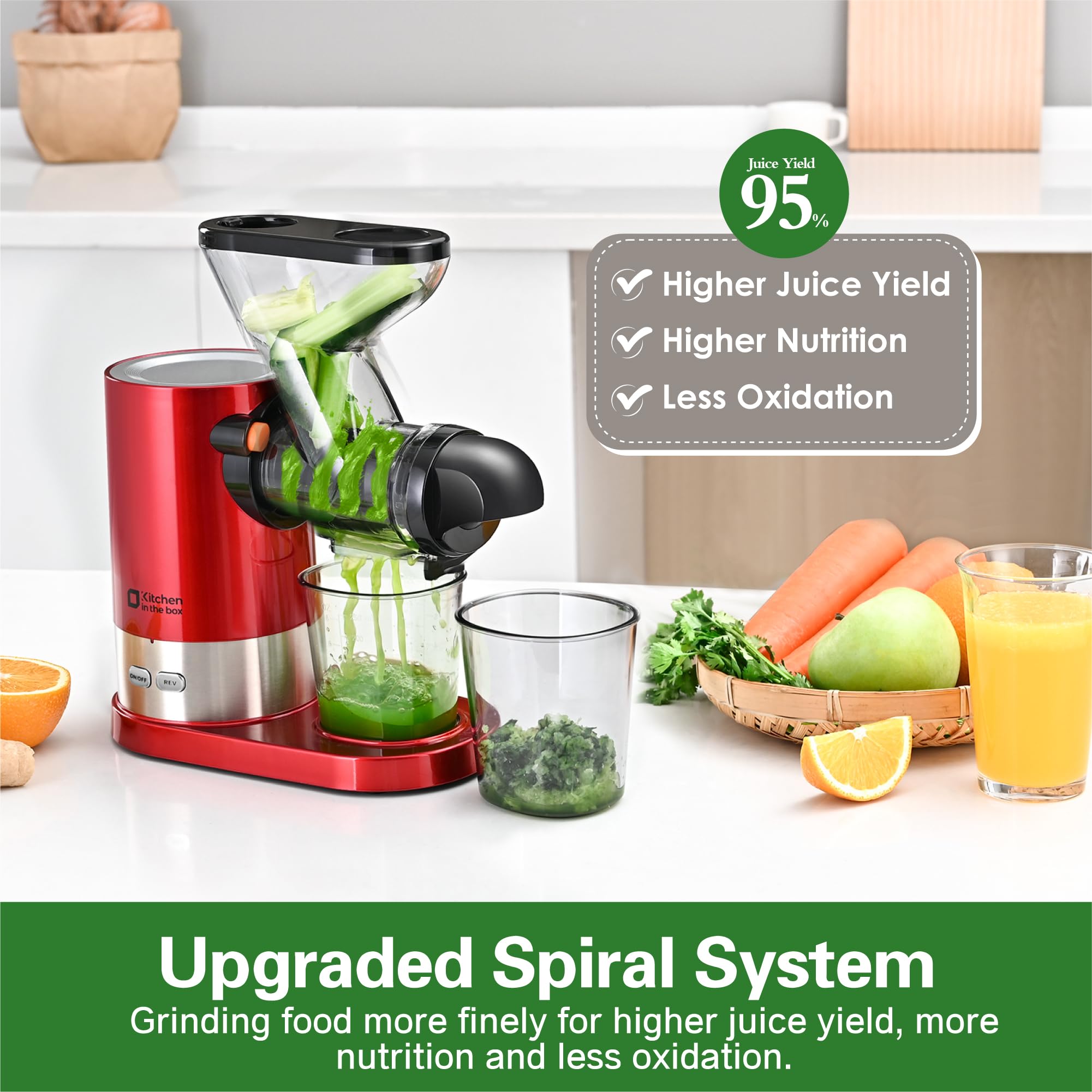 Snapklik.com : Kitchen In The Box Juicer Machines, Small Cold Press ...
