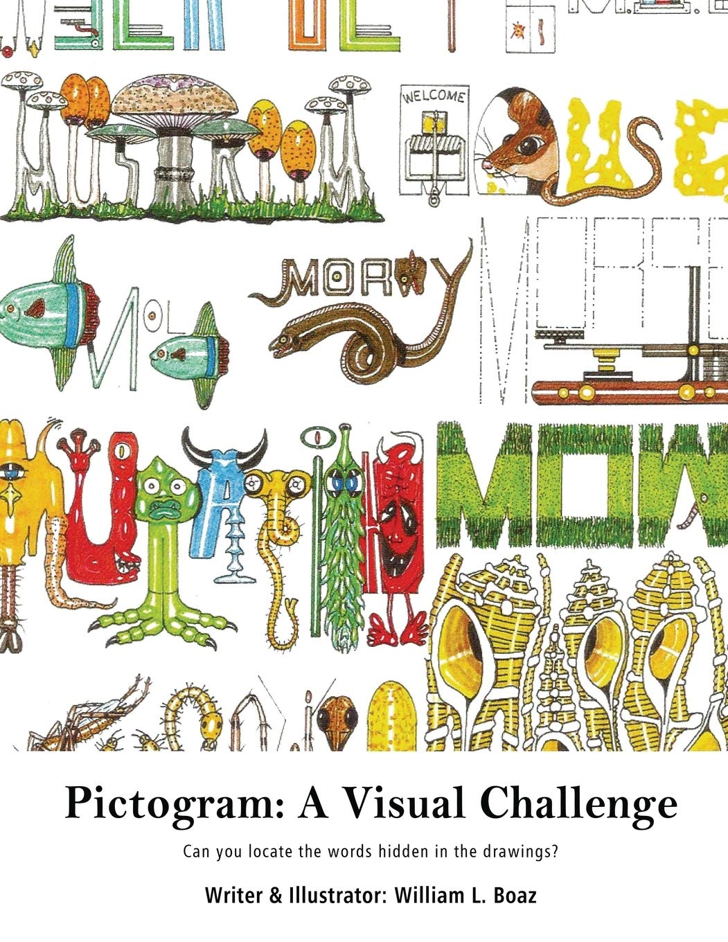 Buy Pictogram: A Visual Challenge: Can you locate the words hidden in ...