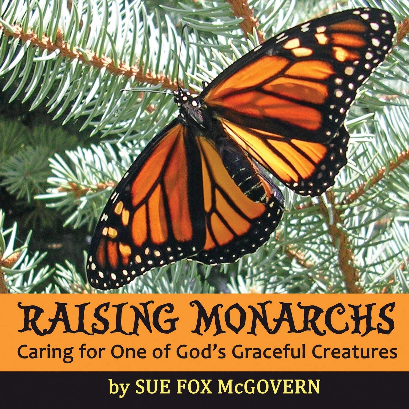 Raising Monarchs: Caring for One of God's Graceful Creatures: McGovern ...
