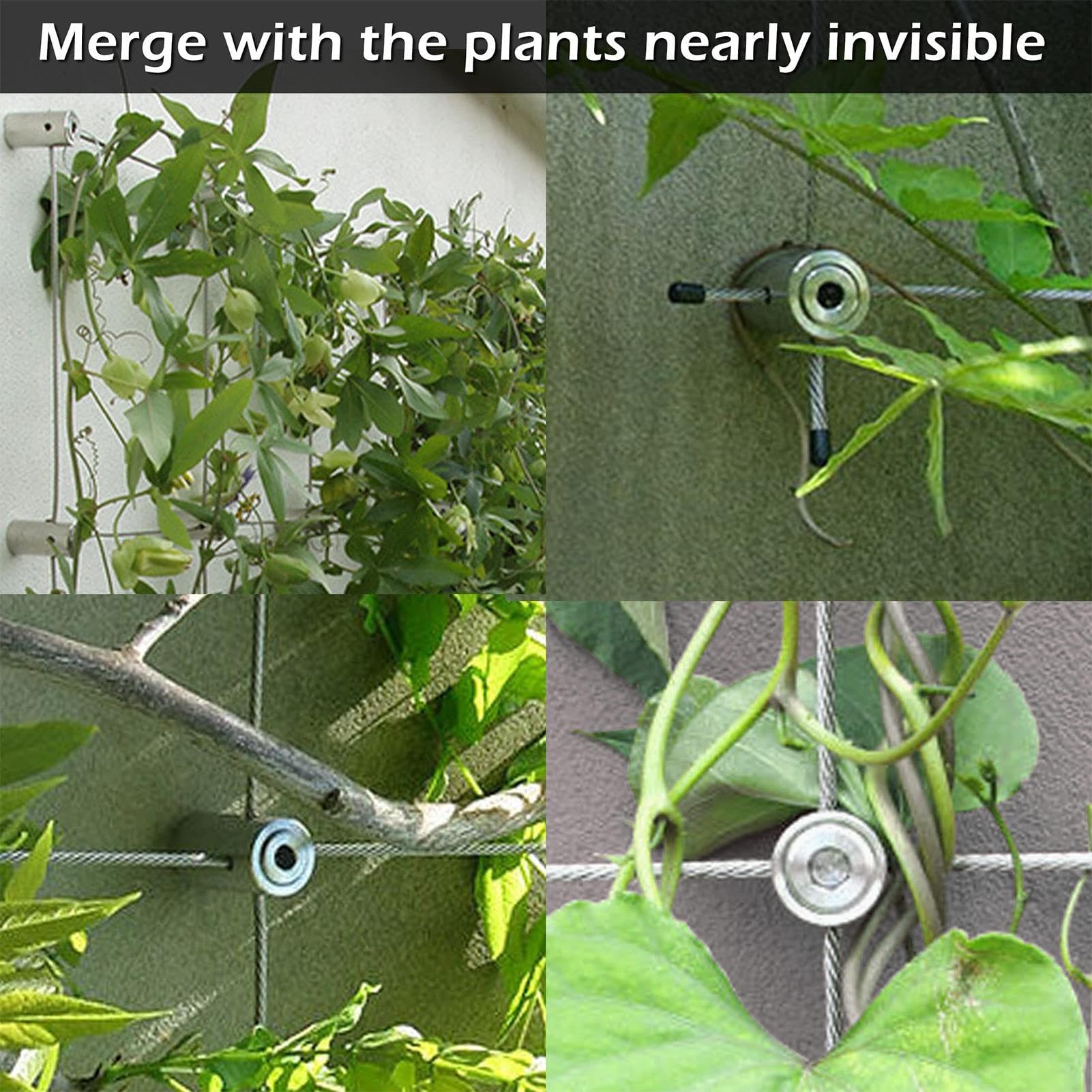Vertical Trellis System