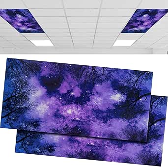 Amylove 2 Pcs Fluorescent Light Covers 2x4 Feet Light Filter Ceiling ...