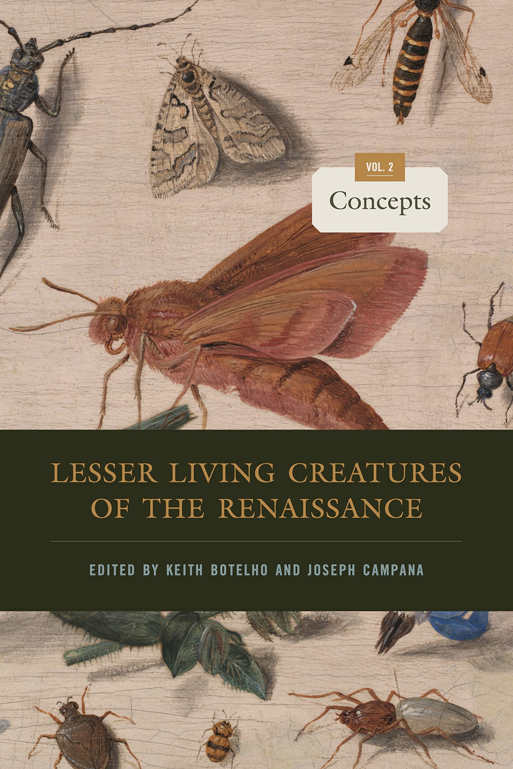 Amazon.com: Lesser Living Creatures of the Renaissance: Volume 2 ...
