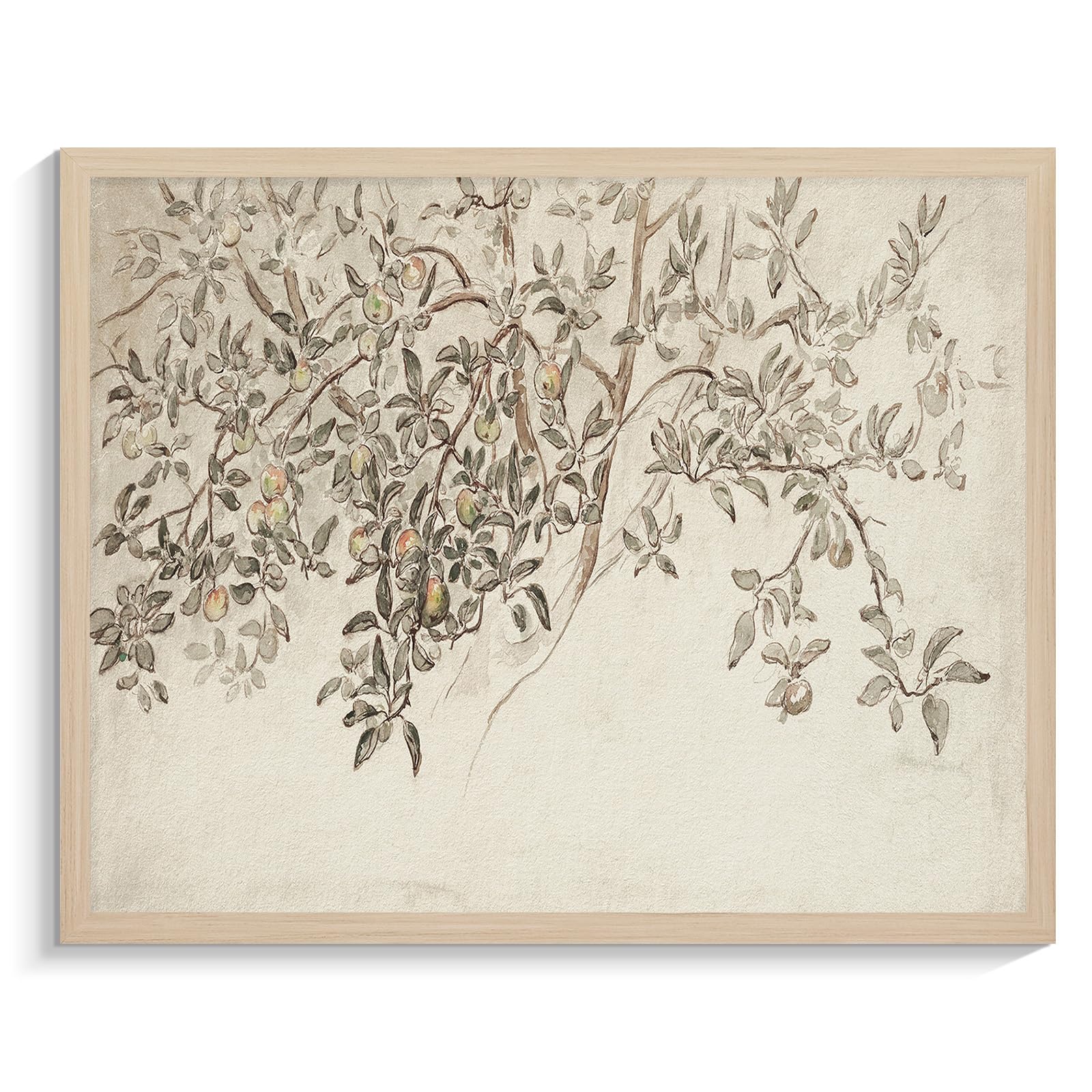 Amazon.com: C8BUSIS Vintage Wall Decor Apple Tree Wall Art Print ...