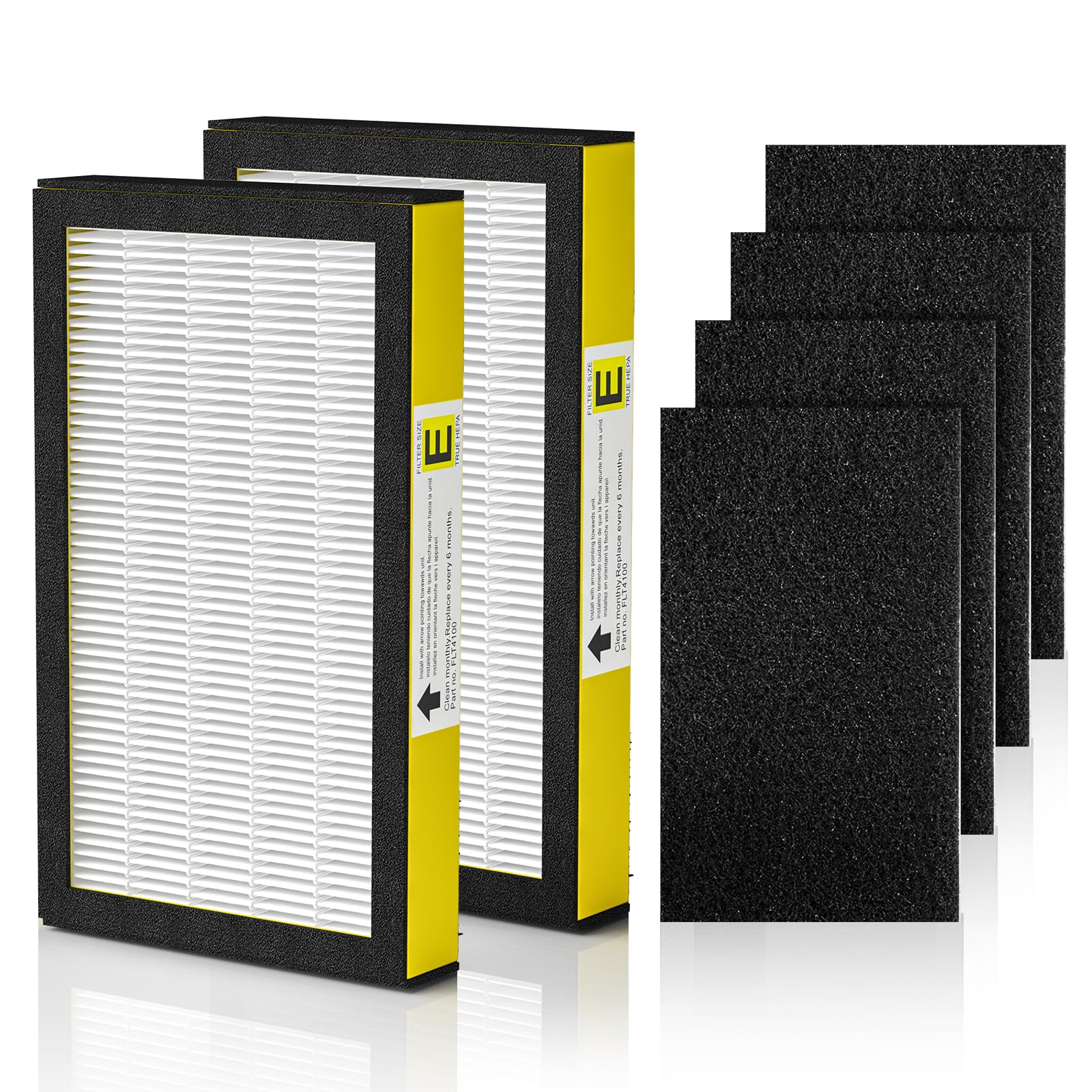 Snapklik.com : FLT4100 Replacement Filter E For Guardian AC4100 ...