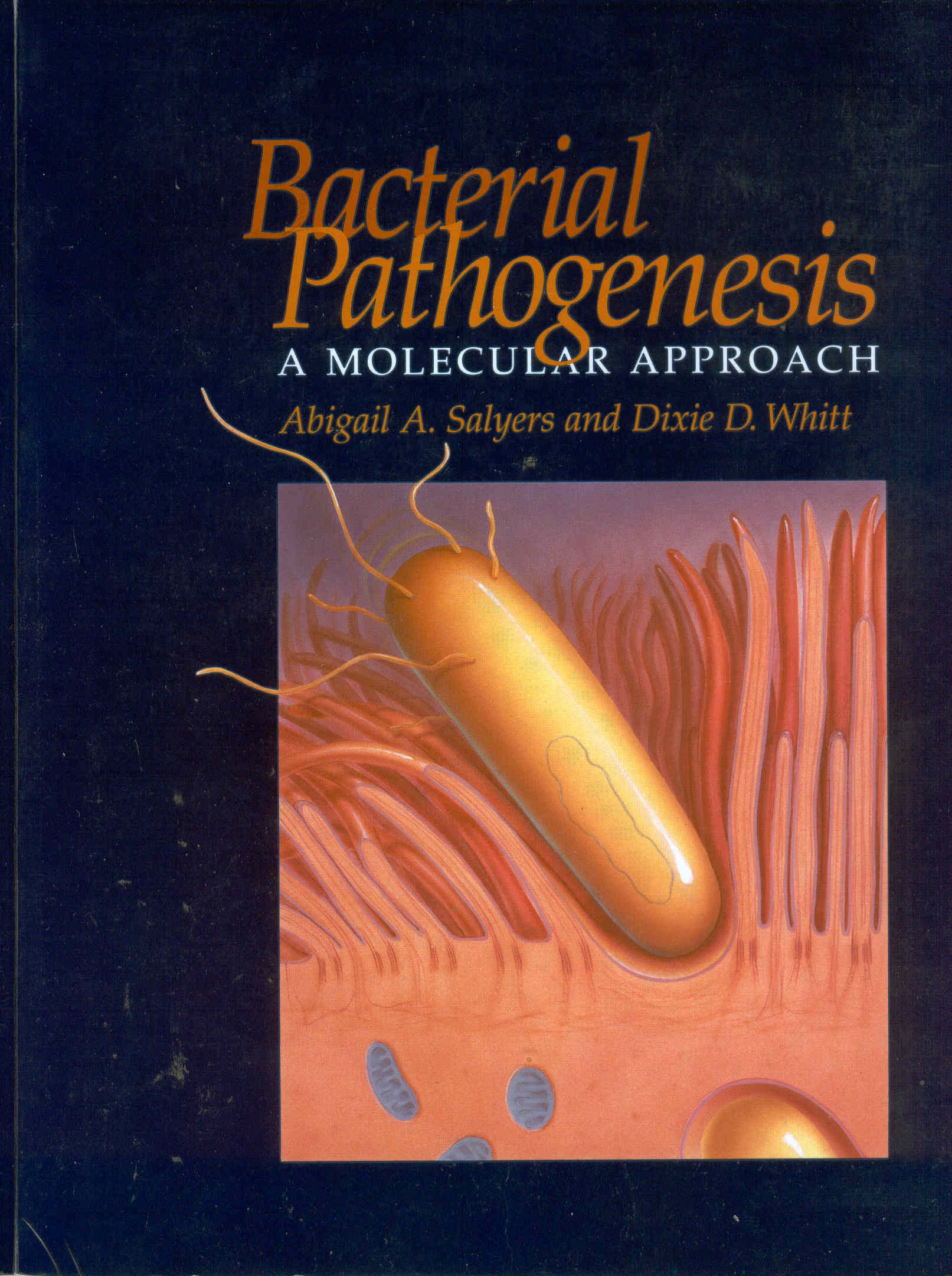 Bacterial Pathogenesis: A Molecular Approach: Abigail A. Salyers ...