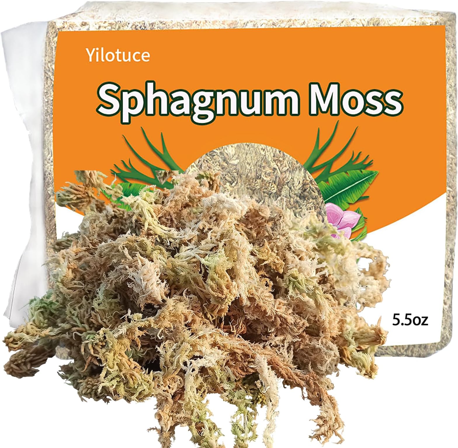 Sphaigne de Madagascar 500GR - substrat végétal pour Cultures Hors-Sol ...