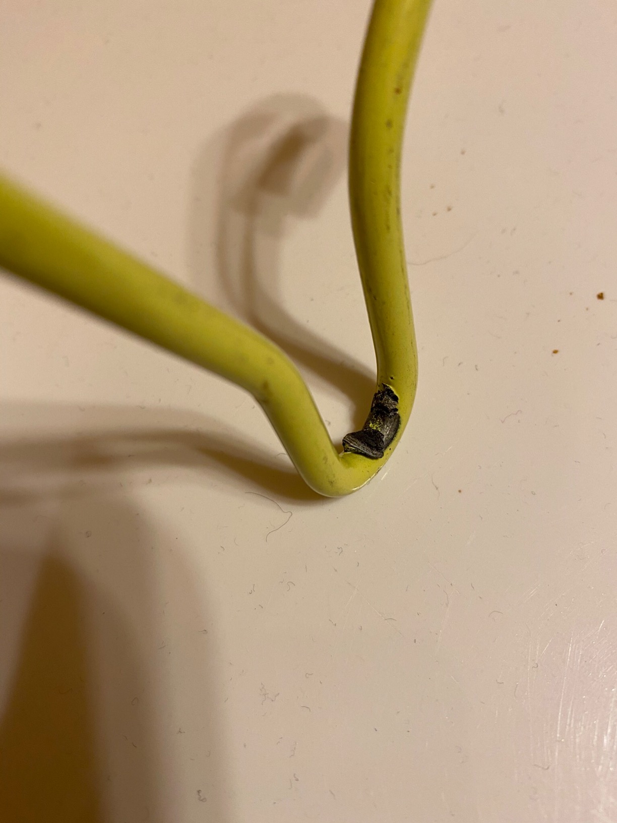 Amazon.com : Rite Farm Products 48" Chicken Catcher Leg Hook CATCHING ...