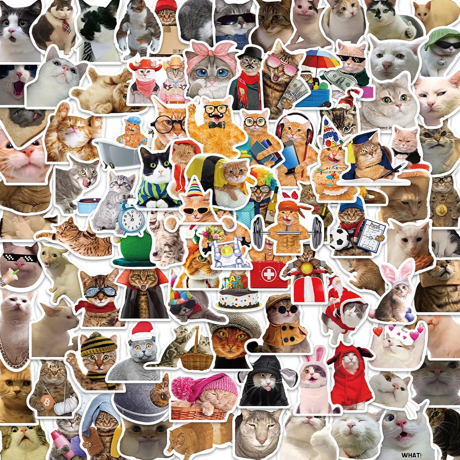 Amazon.com: 100 pcs Cat Meme Funny Stickers, Bulk Repeating Vinyl ...