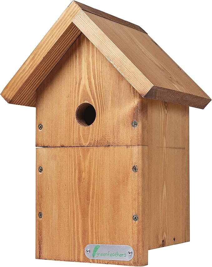 Green Feathers Wooden Deluxe Bird Box | Waterproof & Ventilated | 32mm ...