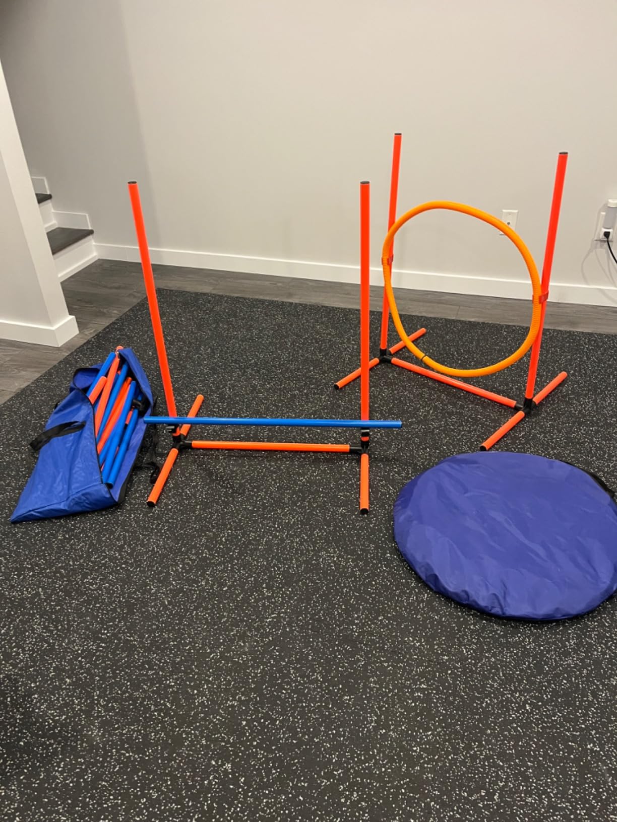 Dog Agility Training Equipment Set, Pet Obstacle Course Training Kit ...