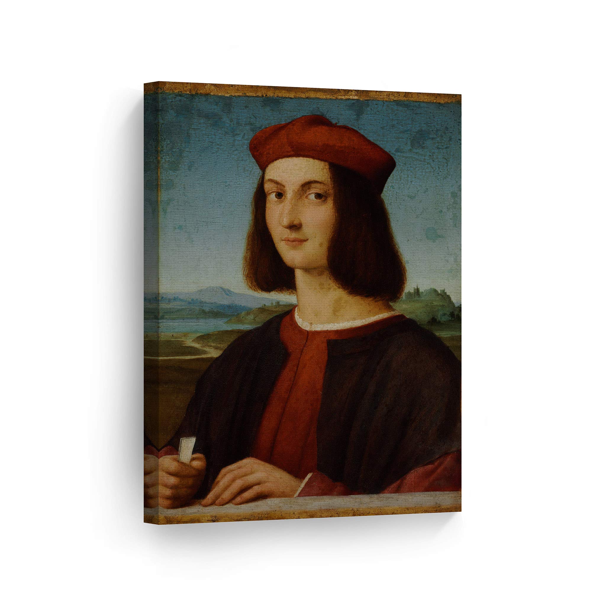 Raphael Portrait Of A Young Man