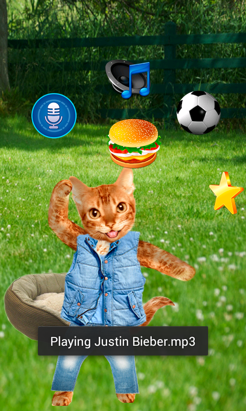 Funny Talking Cat - App on the Amazon Appstore