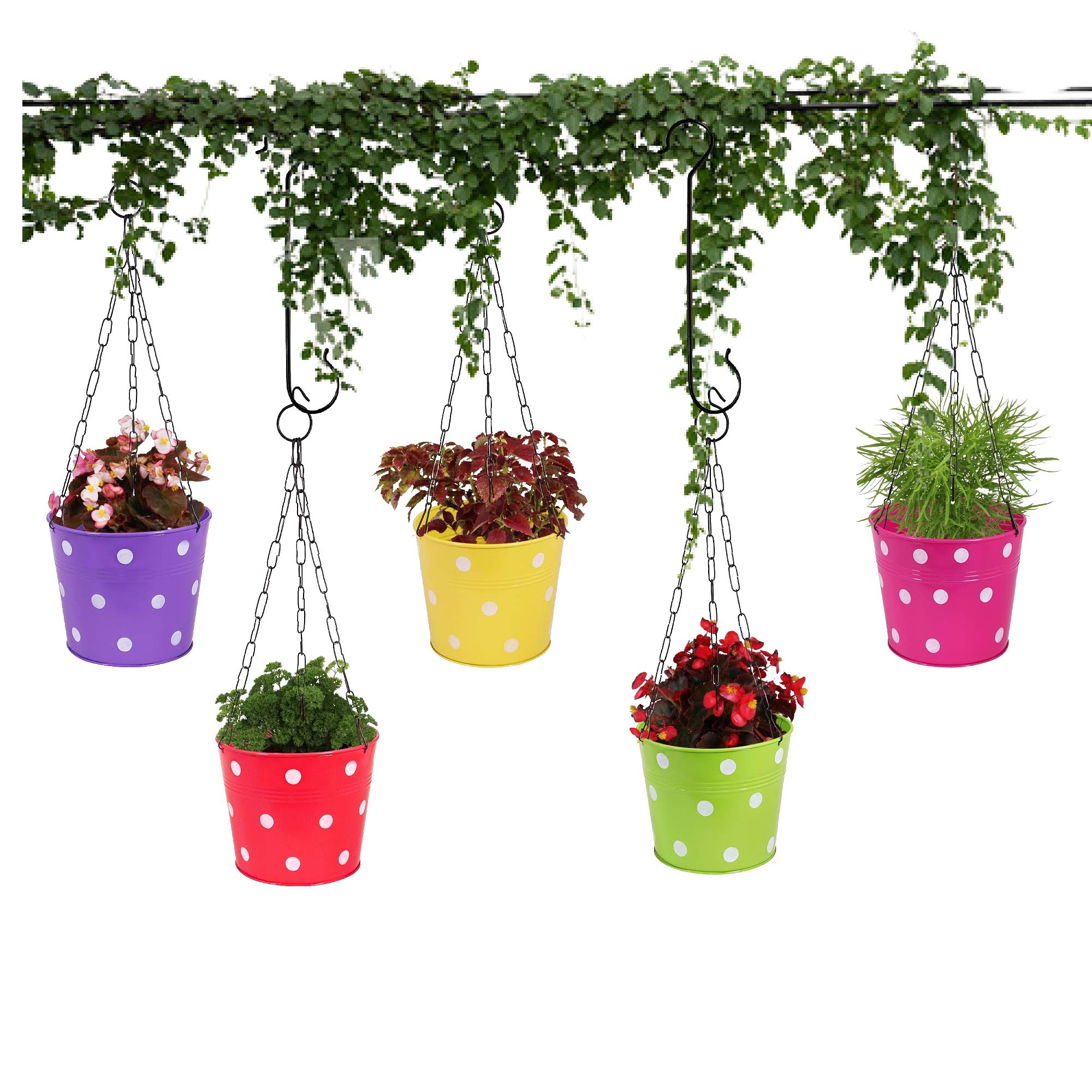 Leafy Tales Metal Chain Hanging Planter - Set of 5 (Rust Free - Red ...