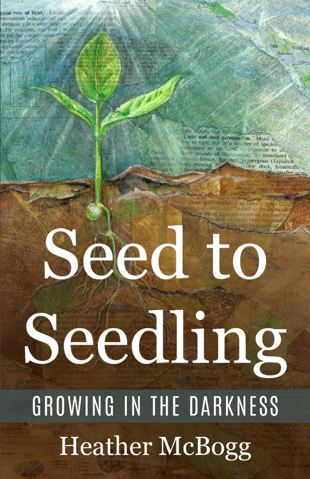 Seed to Seedling: Growing in the Darkness: McBogg, Heather, McBogg ...
