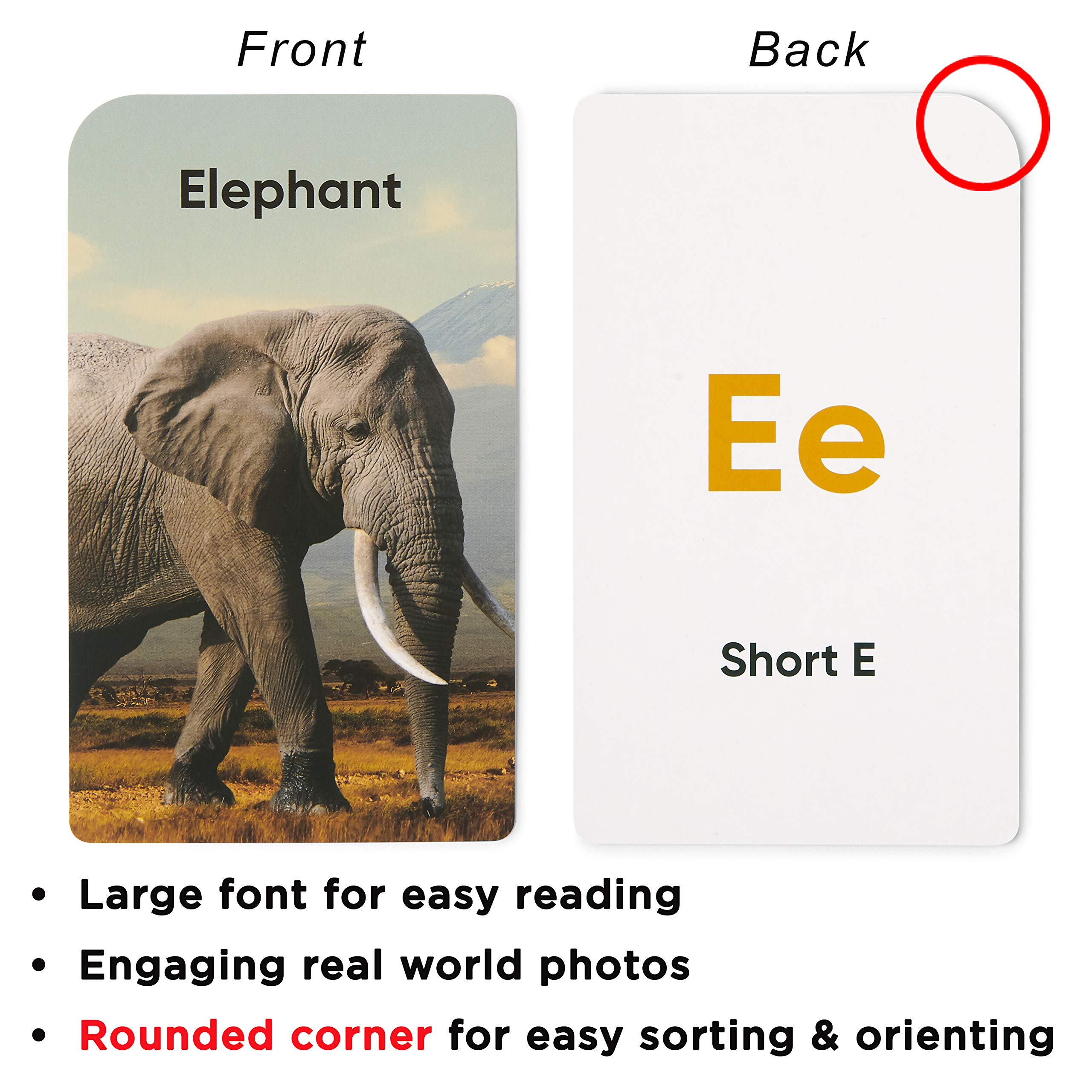 Think Tank Scholar Alphabet Flash Cards (ABC) All Uppercase/Lowercase ...