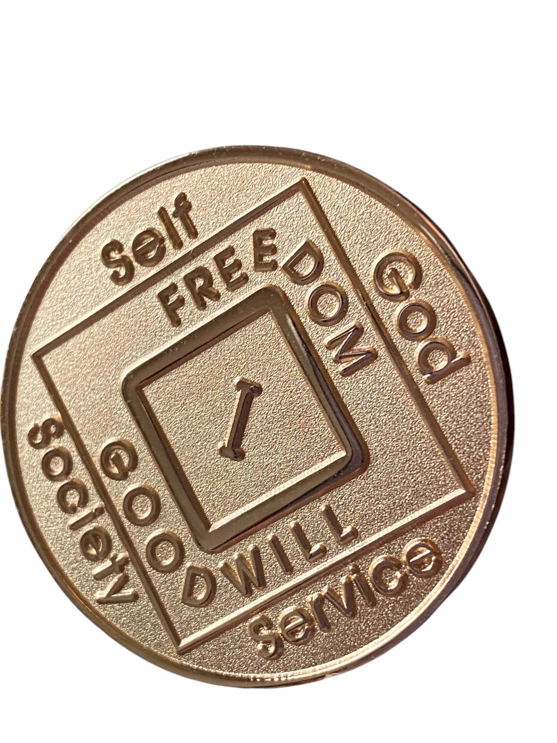 1 Year NA Medallion Official Narcotics Anonymous Bronze Chip : Amazon ...