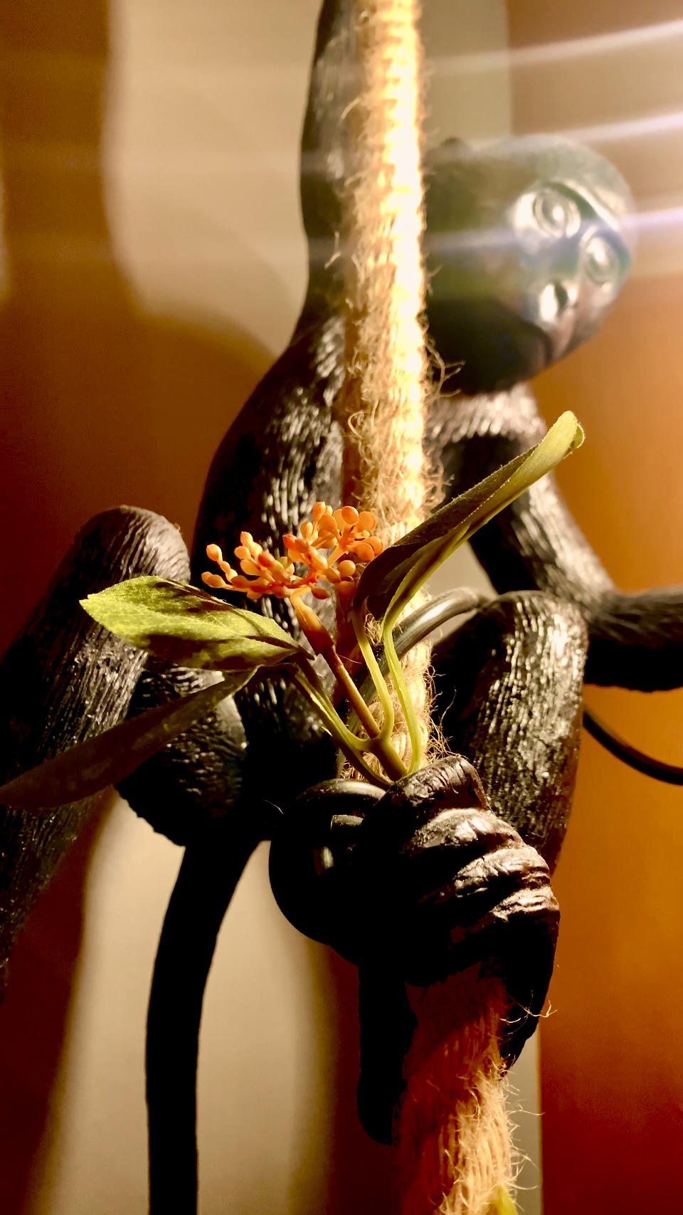 Watch This hanging monkey is the light of my life! on Amazon Live