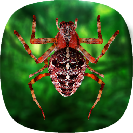 Jumping Spider Fear - Reflex test - Fun - App on Amazon Appstore