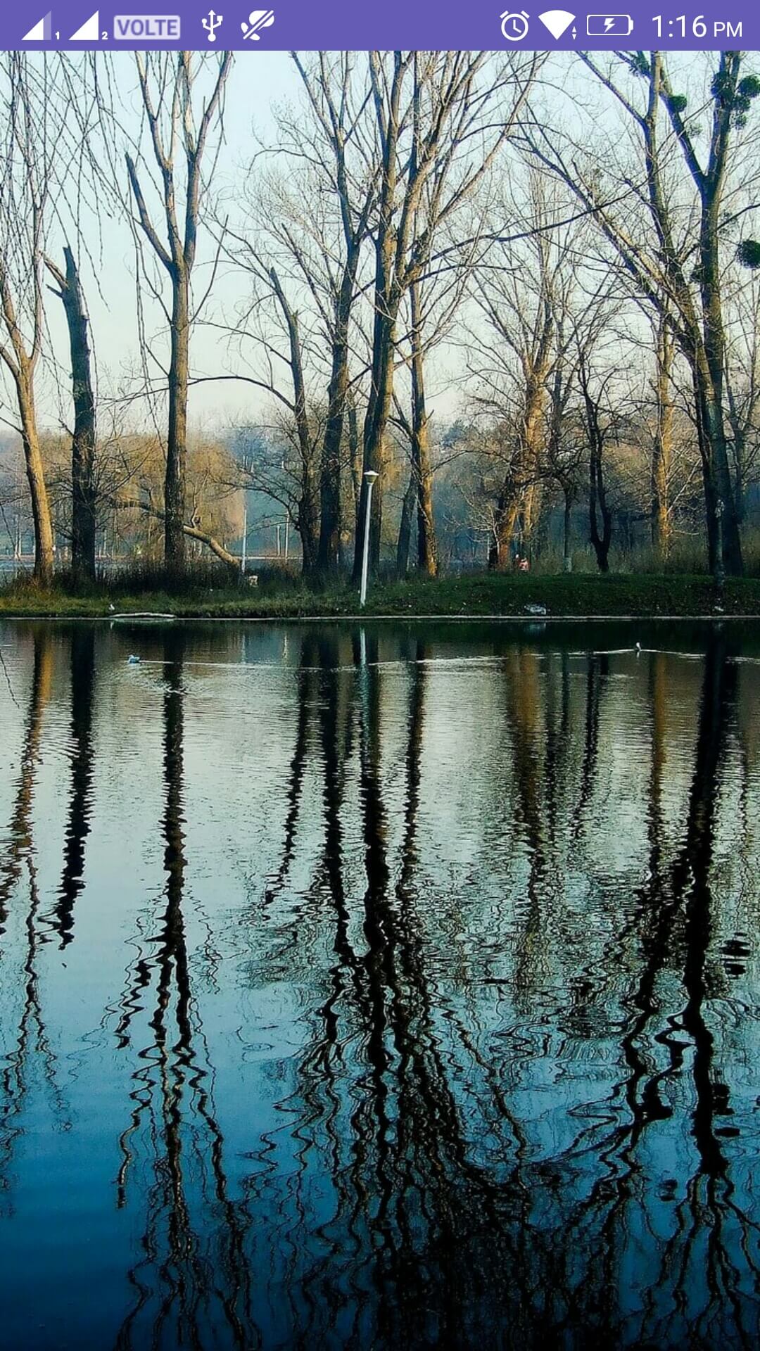 Spring 4K Wallpaper - App on Amazon Appstore