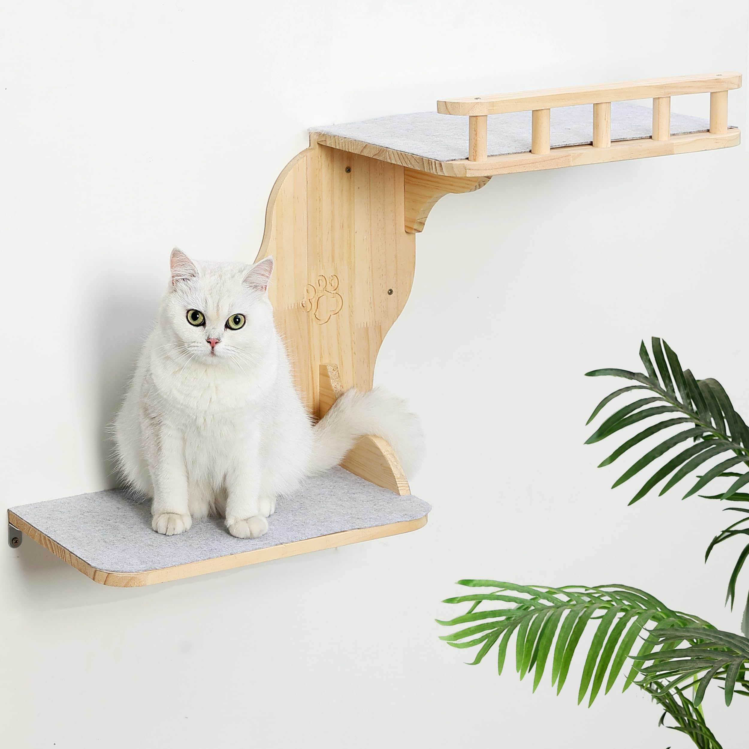 Amazon.com : Wall Mounted Cat Shelves for Inside,2-Levels Wall Perch ...