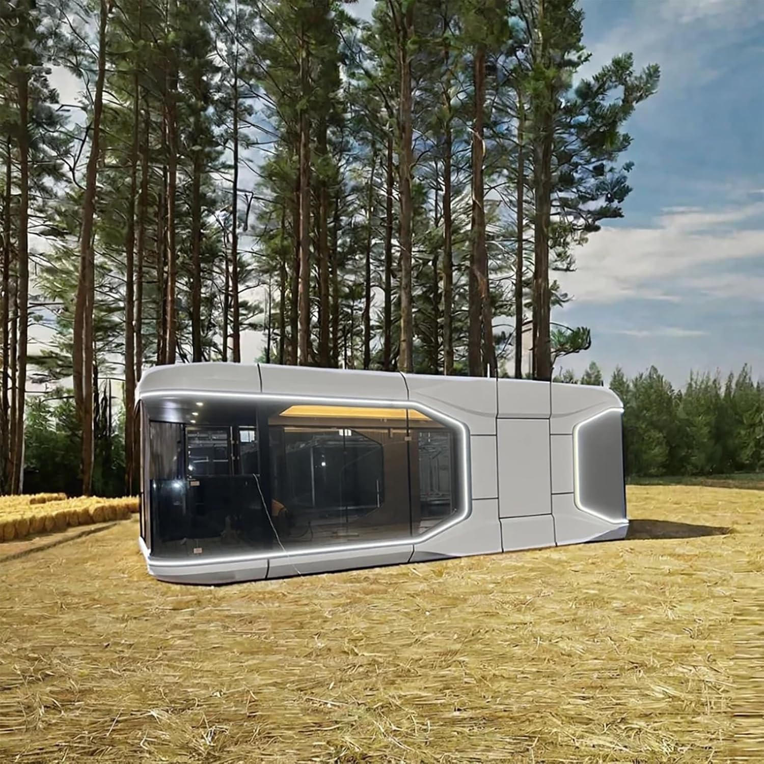 Amazon.com : Space Capsule, prefabricated House, Environmentally ...