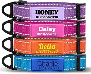 TagME Hundehalsband Personalisiert Mit Namen, Reflektierendes ...