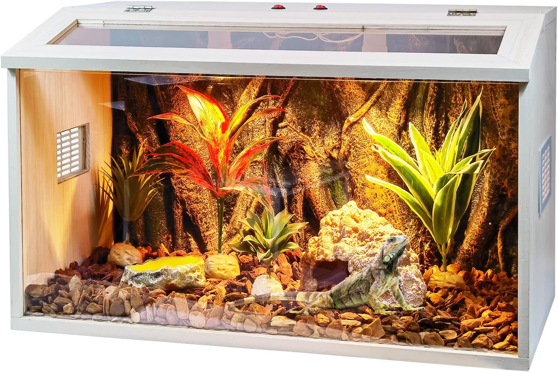 Amazon.com : Prolee 35 Gallon Reptile Terrarium Tank Large 40" x 16" x ...