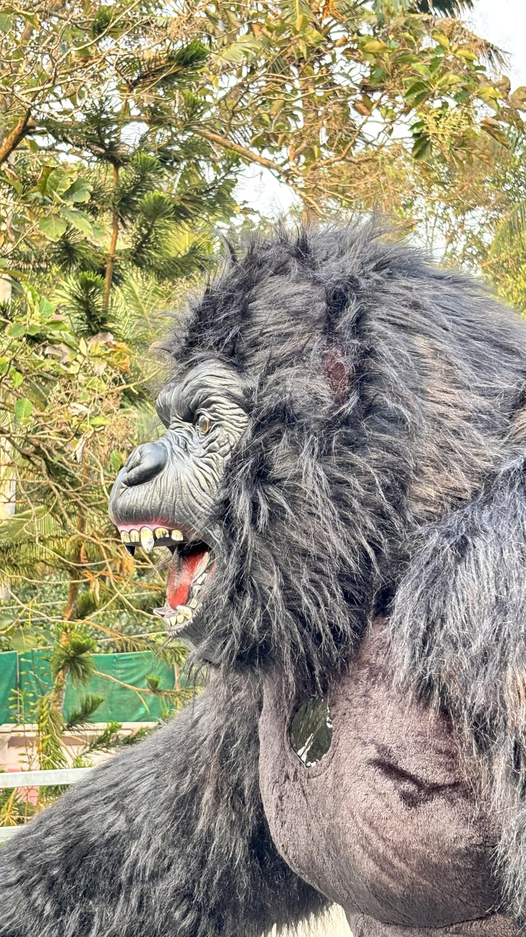 Buy Black Gorila inflitable furr mascot Online at Low Prices in India ...