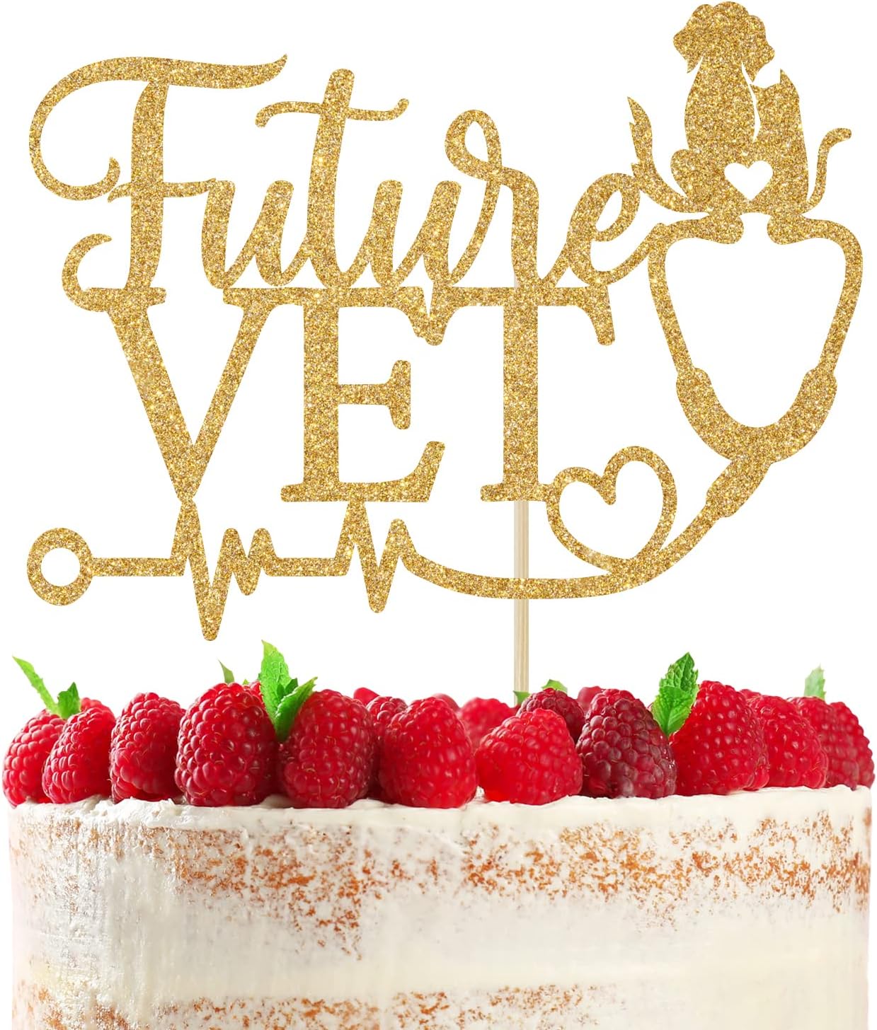 Amazon.com: Future VET Cake Topper, Congrats Veterinarian Cake ...