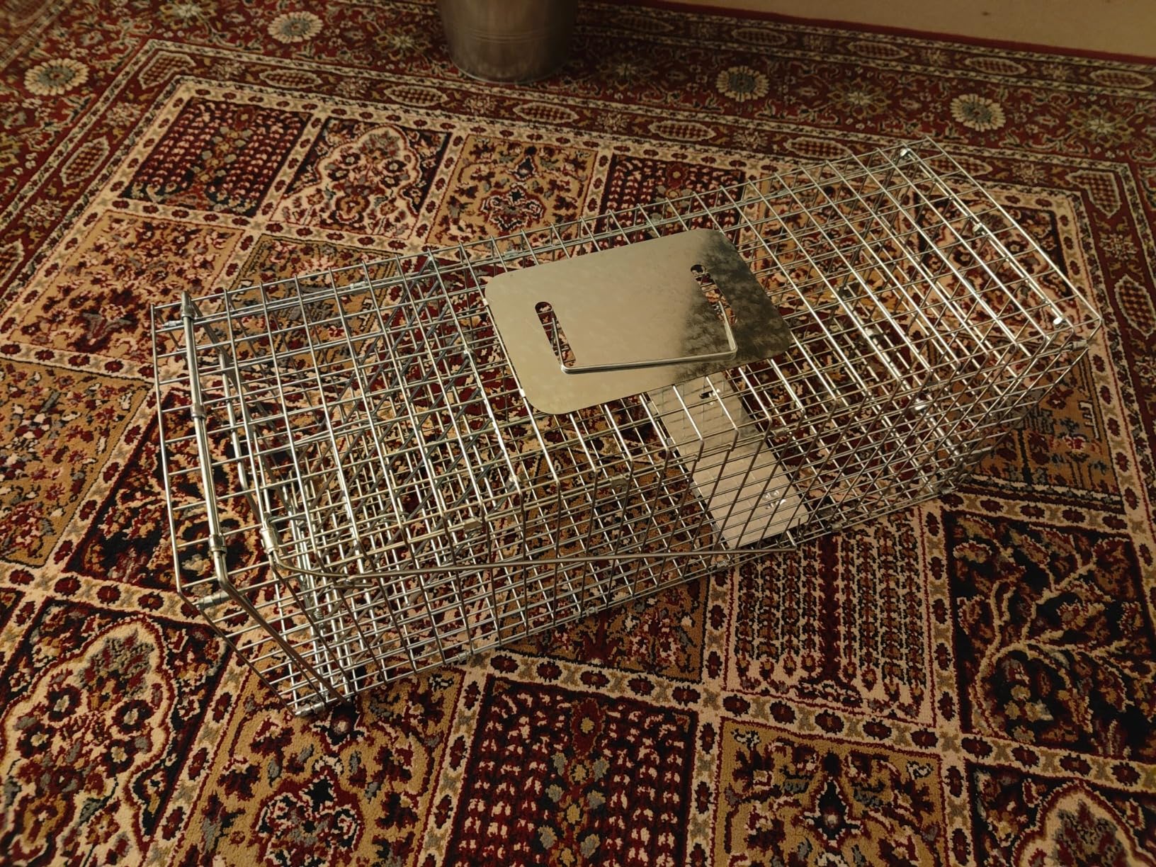 Possum Trap Pestrol Humane Cage Fox Bird Rabbit Animal : Amazon.com.au ...