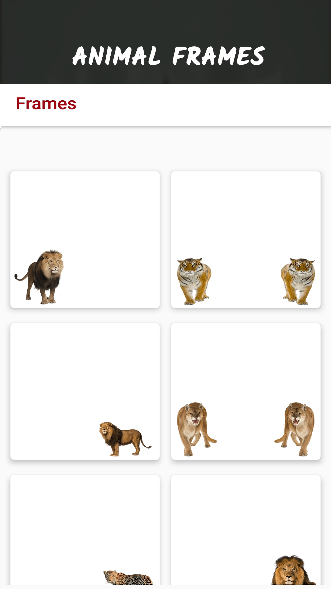 Profile Photo Maker : DP Profile Maker 2020 - App on Amazon Appstore