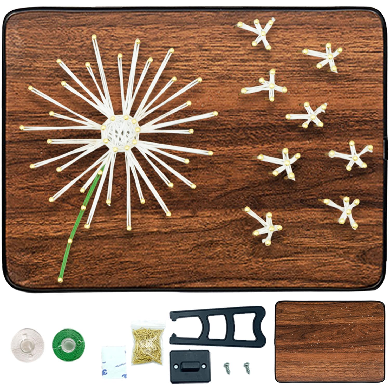 Amazon.com: BAZIMA DIY String Art Kit for Beginner, Unique Gift,Craft ...