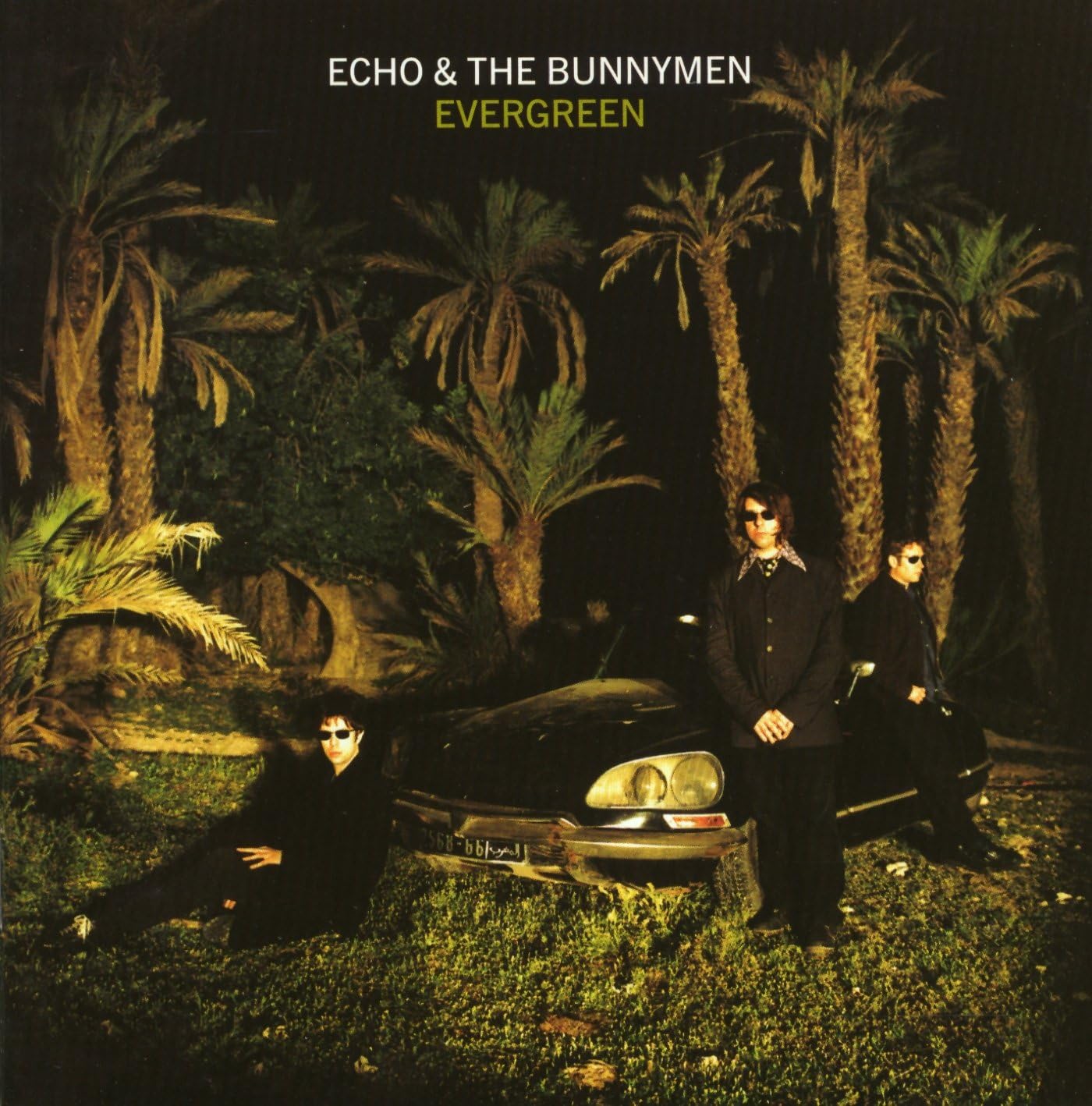 Evergreen: Amazon.co.uk: CDs & Vinyl