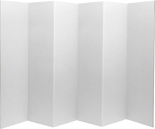 Amazon.com: 6 ft. Tall White Temporary Cardboard Folding Screen - 6 ...