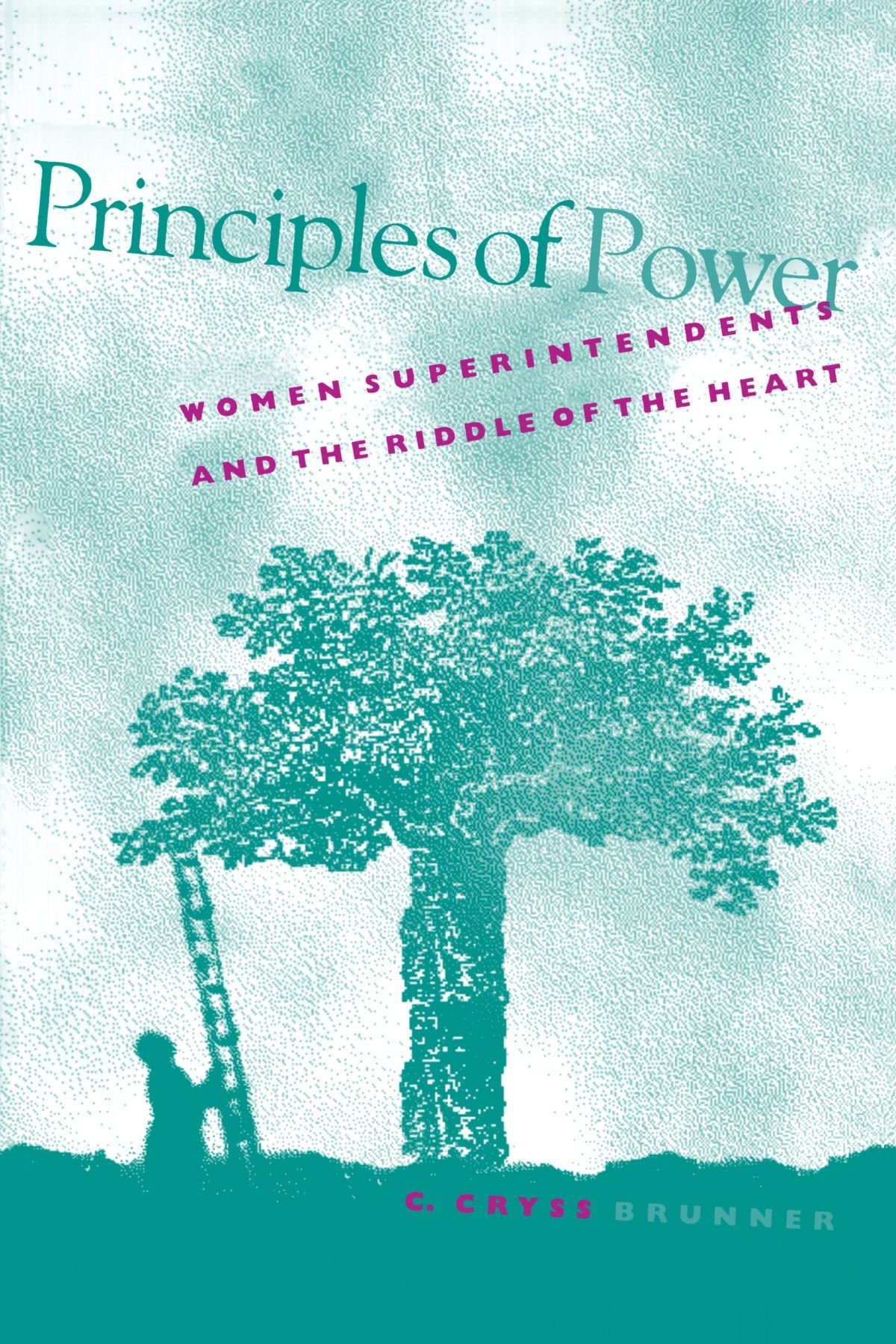 Principles of Power: Women Superintendents and the Riddle of the Heart ...