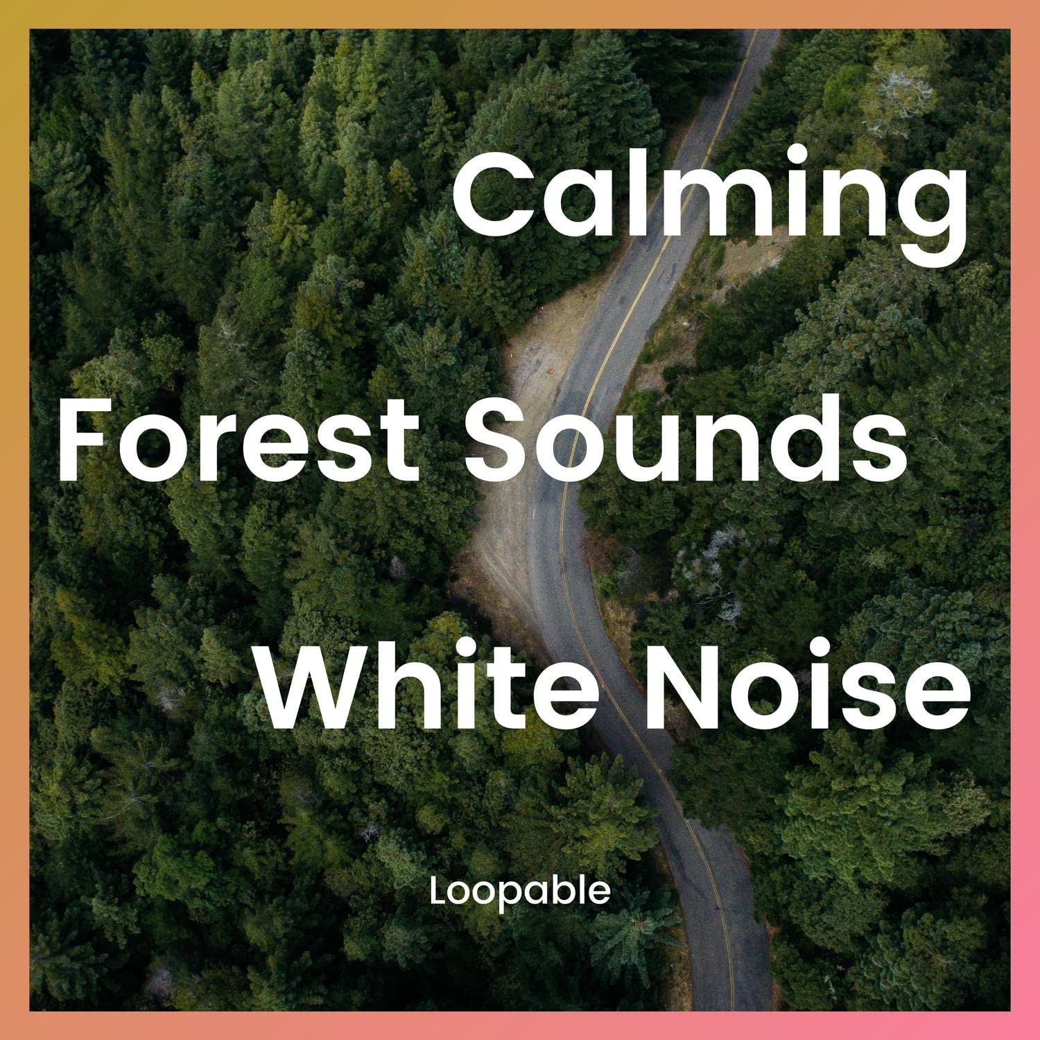 Calming Forest Sounds with White Noise, Loopable de White Noise ASMR ...