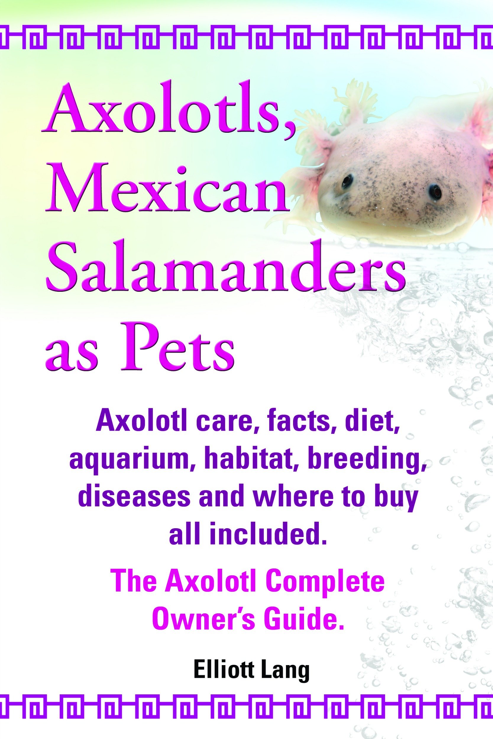 Buy Axolotls, Mexican Salamanders as Pets. Axolotls care, facts, diet ...
